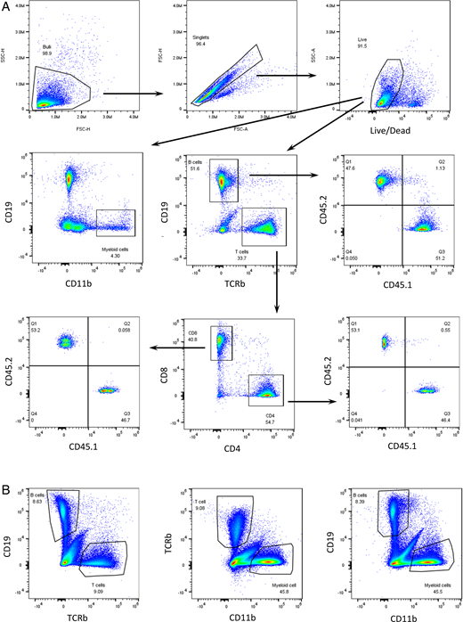 CD45.1/CD45.2 Congenic Markers Induce a Selective Bias for CD8+ T Cells ...