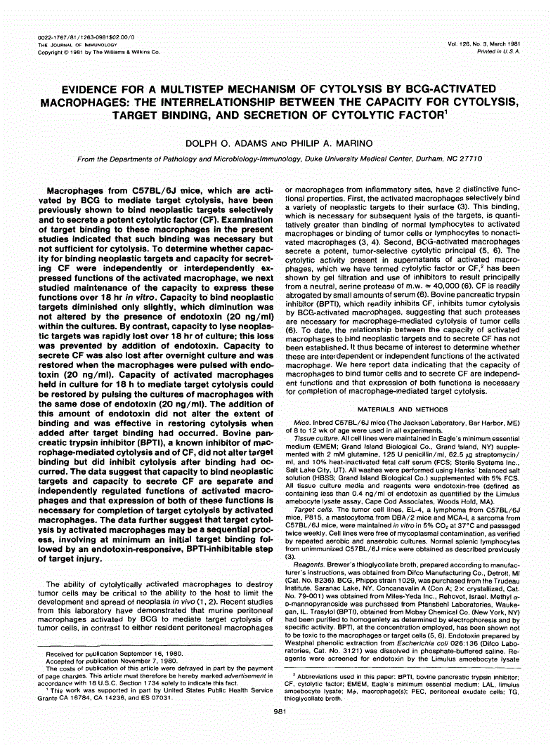 Evidence for a multistep mechanism of cytolysis by BCG-activated ...