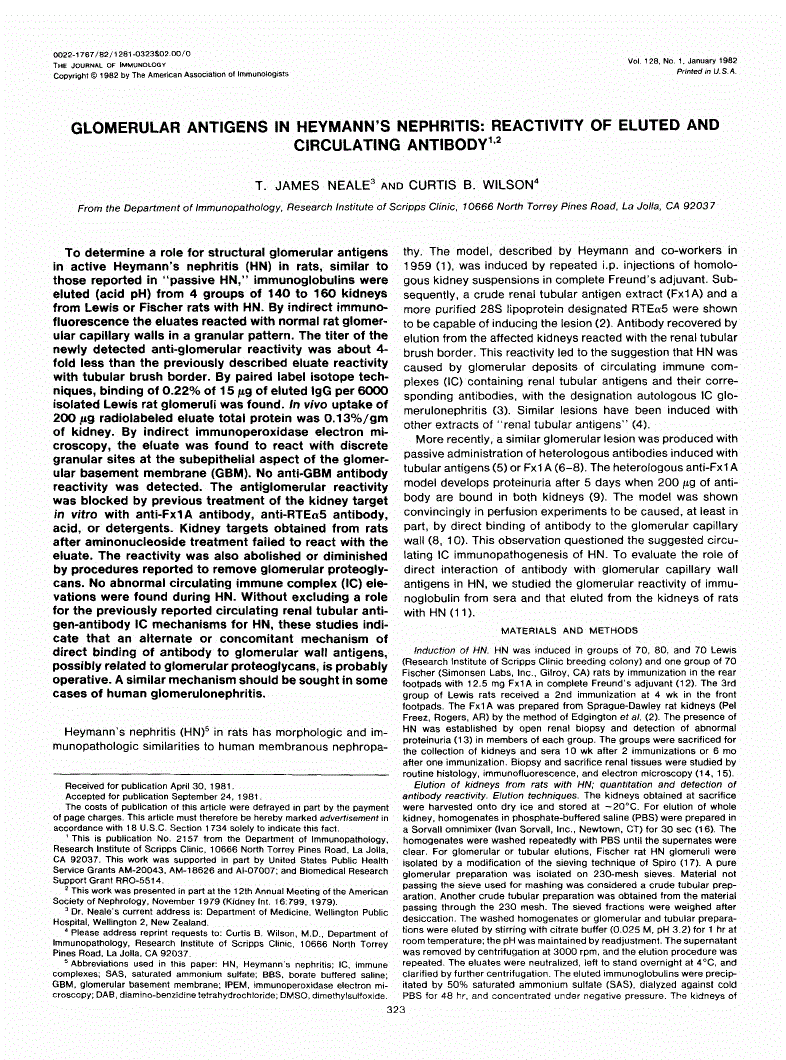 Glomerular antigens in Heymann's nephritis: reactivity of eluted and ...
