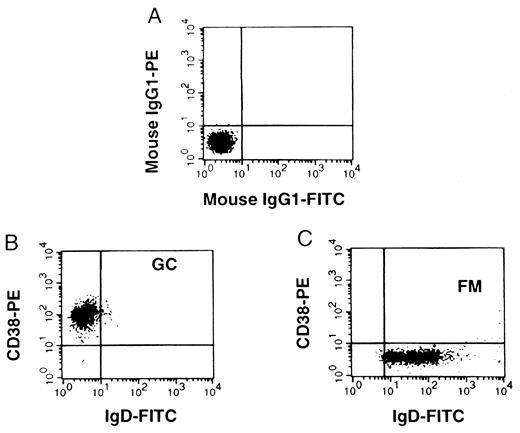 Isolated Human Germinal Center Centroblasts Have an Intact Mismatch ...