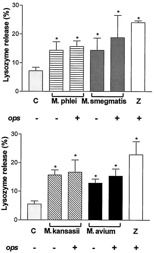 Fusion of Azurophil Granules with Phagosomes and Activation of the ...