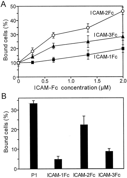 ICAM-2 and a Peptide from Its Binding Domain Are Efficient Activators ...