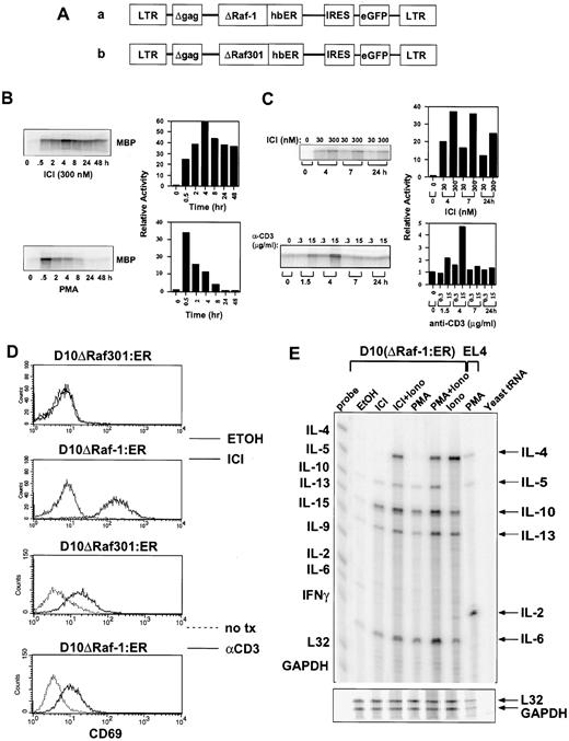 Sustained Activation of the Raf-MEK-ERK Pathway Elicits Cytokine ...