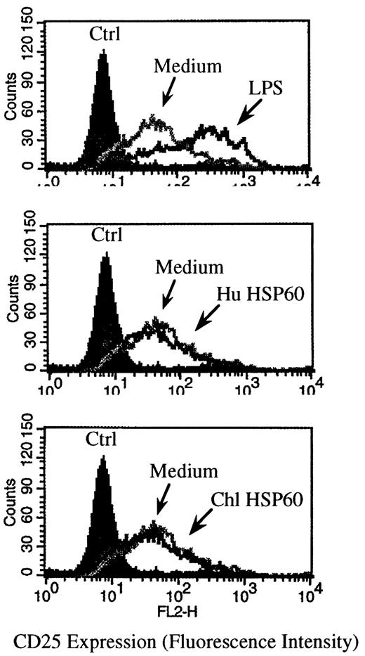 Cutting Edge Heat Shock Protein Hsp 60 Activates The Innate Immune