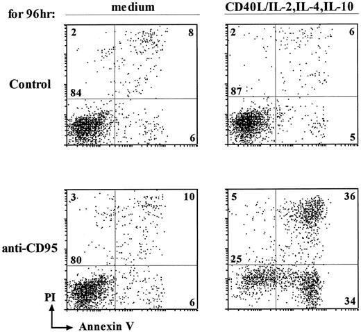 Distinct Role of Follicular Dendritic Cells and T Cells in the ...