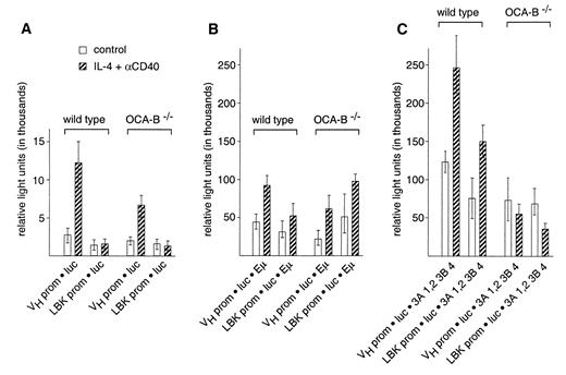 Role of OCA-B in 3′-IgH Enhancer Function1 | The Journal of Immunology ...