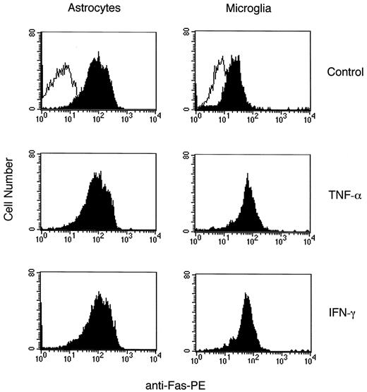 Differential Regulation and Function of Fas Expression on Glial Cells1 ...