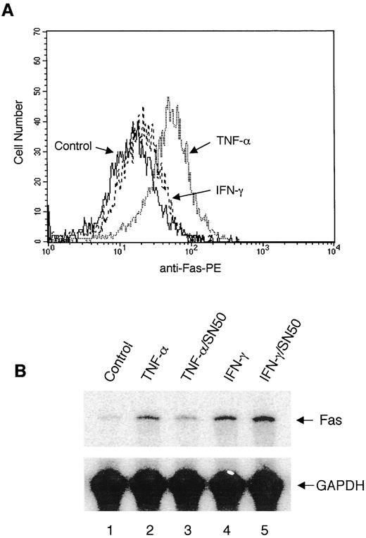 Differential Regulation and Function of Fas Expression on Glial Cells1 ...