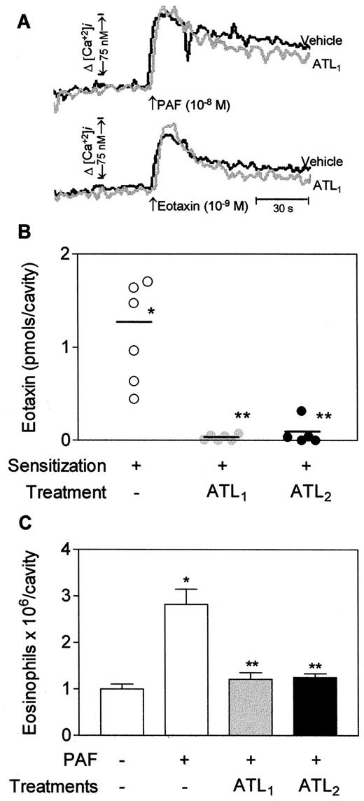 Cutting Edge: Lipoxin (LX) A4 and Aspirin-Triggered 15-Epi-LXA4 Block ...