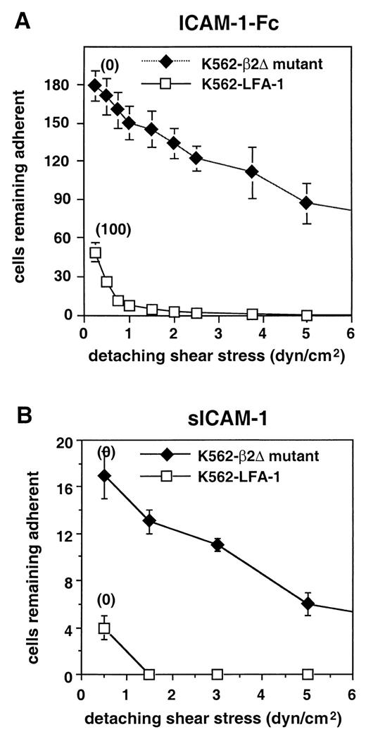 The LFA-1 Integrin Supports Rolling Adhesions on ICAM-1 Under ...