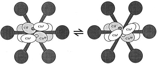The Cleavage of Two C1s Subunits by a Single Active C1r Reveals ...