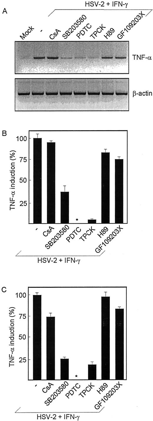 Expression Of Tnf α By Herpes Simplex Virus Infected Macrophages Is