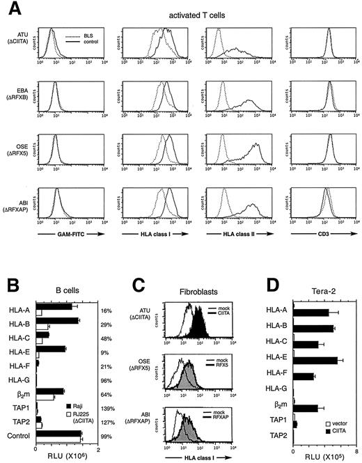 The Mhc Specific Enhanceosome And Its Role In Mhc Class I And β2