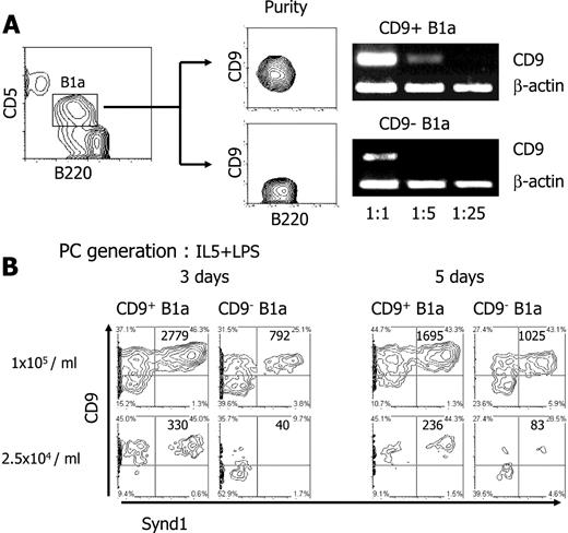 CD9 Is a Unique Marker for Marginal Zone B Cells, B1 Cells, and Plasma ...