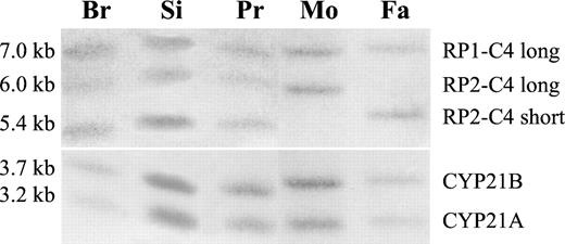 Characterization of a De Novo Conversion in Human Complement C4 Gene ...