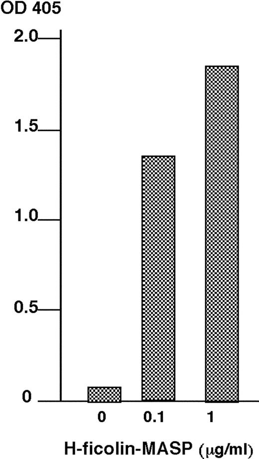 Activation Of The Lectin Complement Pathway By H Ficolin Hakata Antigen 1 The Journal Of