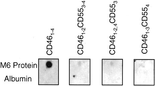 Identification of the Streptococcal M Protein Binding Site on Membrane ...