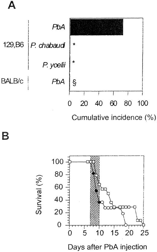 On The Pathogenic Role Of Brain Sequestered αβ Cd8 T Cells In