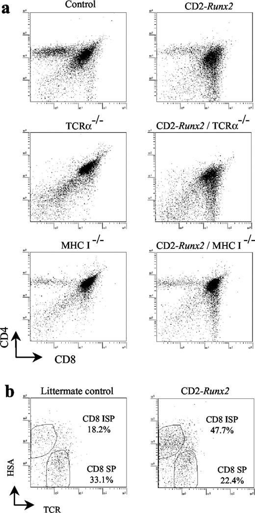 Enforced Expression Of Runx2 Perturbs T Cell Development At A Stage Coincident With β Selection1