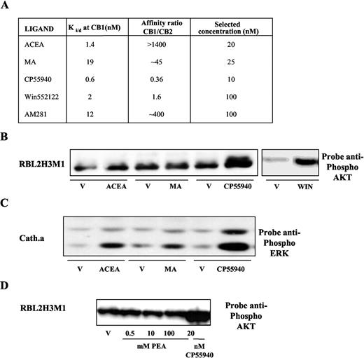 Differential Roles of CB1 and CB2 Cannabinoid Receptors in Mast Cells1 ...