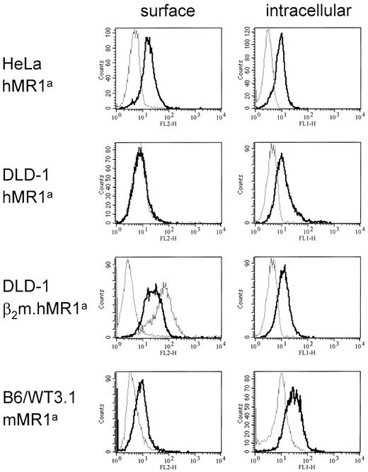 Biochemical Features Of The Mhc Related Protein 1 Consistent With An