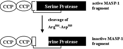 Natural Substrates And Inhibitors Of Mannan Binding Lectin Associated