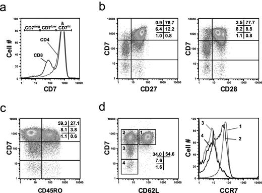 CD7 Is a Differentiation Marker That Identifies Multiple CD8 T Cell Effector Subsets1 | The ...