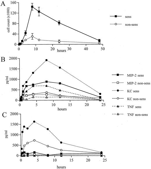 Transient Neutrophil Infiltration After Allergen Challenge Is Dependent ...