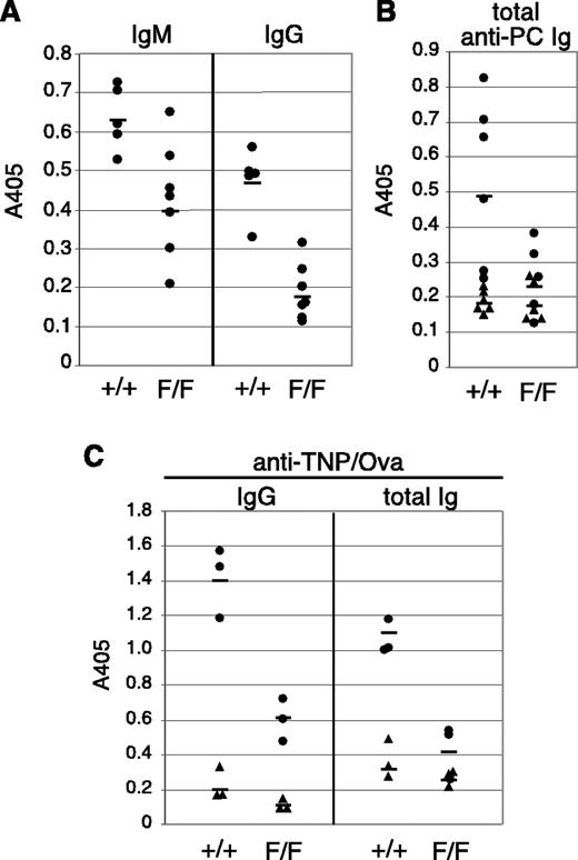 Ikkβ Is Required For Peripheral B Cell Survival And Proliferation1