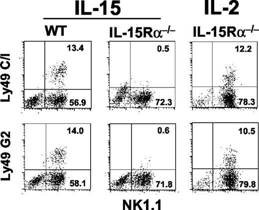 Differential Roles for IL-15R α-Chain in NK Cell Development and Ly-49 ...