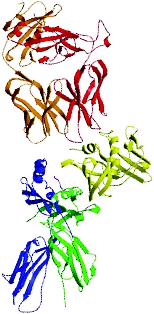 Functional Analysis Of The Tcr Binding Domain Of Toxic Shock Syndrome