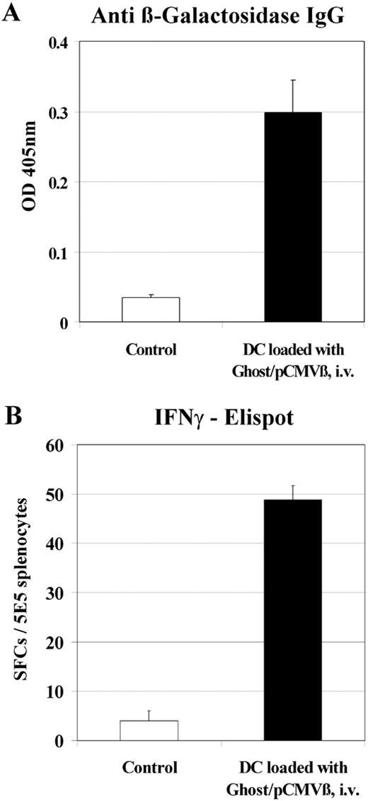 Bacterial Ghosts Are An Efficient Delivery System For Dna Vaccines1 The Journal Of Immunology
