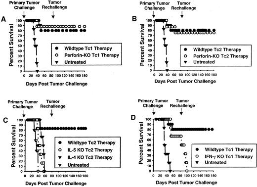 Tc1 and Tc2 Effector Cell Therapy Elicit Long-Term Tumor Immunity by ...