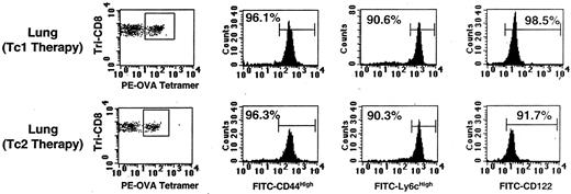 Tc1 and Tc2 Effector Cell Therapy Elicit Long-Term Tumor Immunity by ...