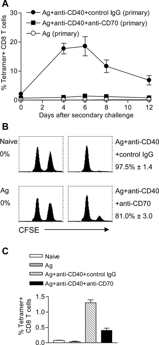 Cutting Edge A Critical Role For Cd70 In Cd8 T Cell Priming By Cd40