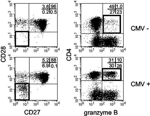 Emergence Of A Cd4 Cd28− Granzyme B Cytomegalovirus Specific T Cell