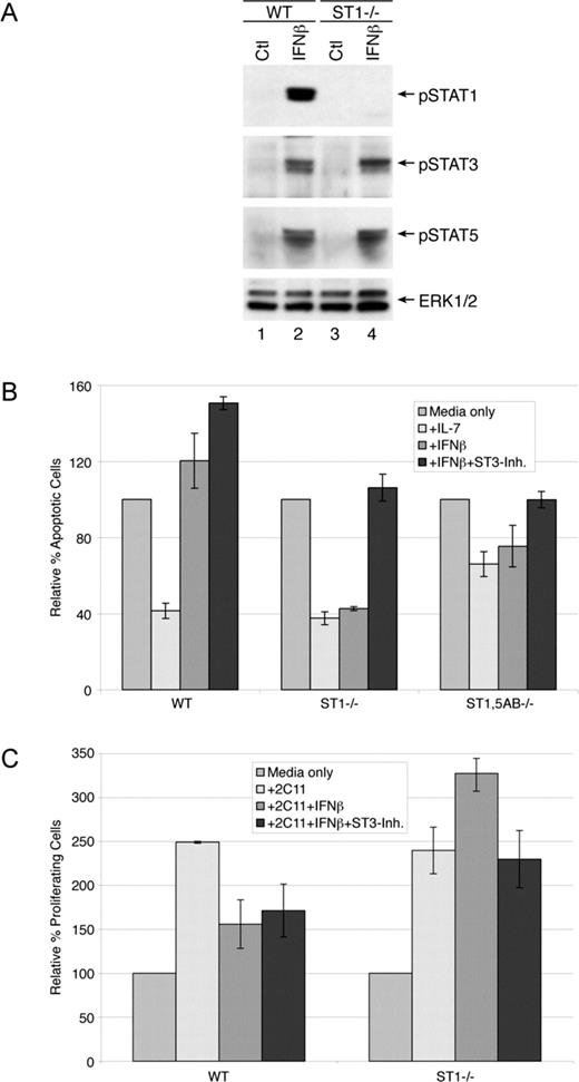 Cutting Edge Role Of Stat1 Stat3 And Stat5 In Ifn αβ Responses In T