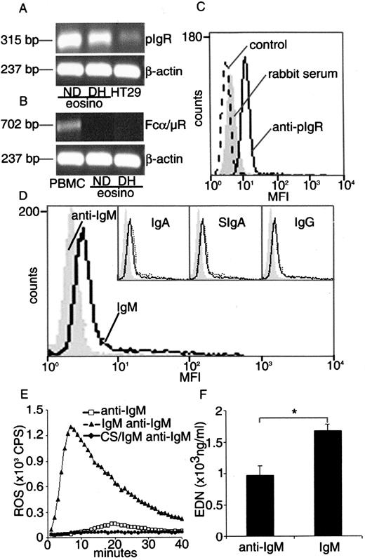 Heterogeneity of Expression of IgA Receptors by Human, Mouse, and Rat ...