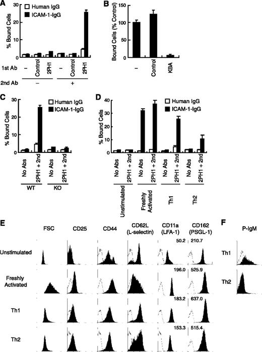 Rolling of Th1 Cells via P-Selectin Glycoprotein Ligand-1 Stimulates ...
