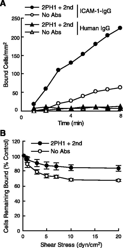 Rolling of Th1 Cells via P-Selectin Glycoprotein Ligand-1 Stimulates ...