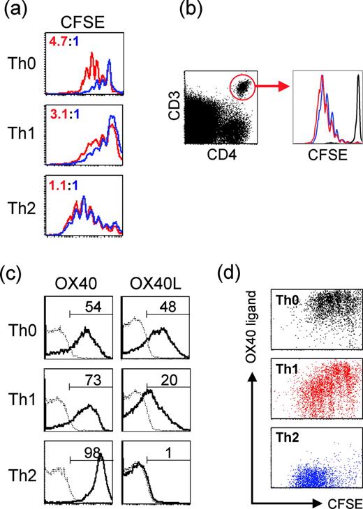 OX40 Signals during Priming on Dendritic Cells Inhibit CD4 T Cell ...