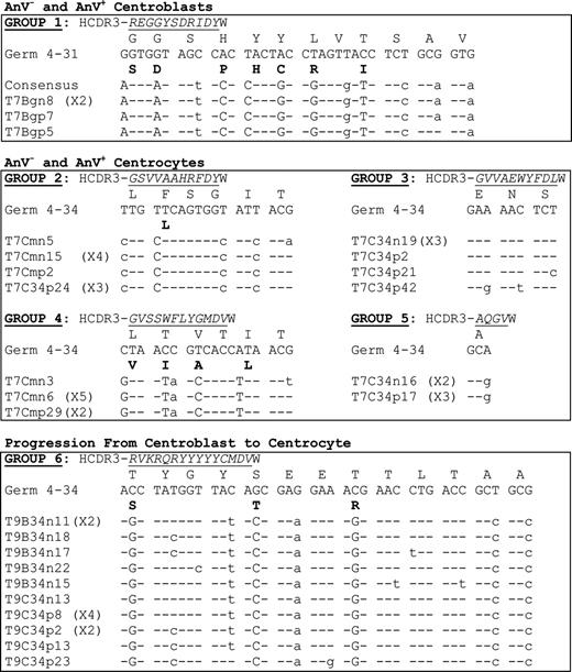 IgH V-Region Sequence Does Not Predict the Survival Fate of Human ...