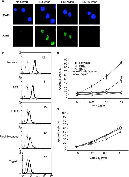 Granzyme B Binds To Target Cells Mostly By Charge And Must Be Added At The Same Time As Perforin