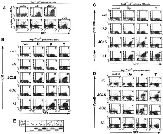 The Unique Region of Surrogate Light Chain Component λ5 Is a Heavy ...