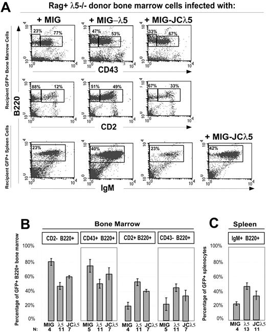 The Unique Region of Surrogate Light Chain Component λ5 Is a Heavy ...