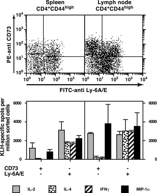 Cd73 And Ly 6a E Distinguish In Vivo Primed But Uncommitted Mouse Cd4 T