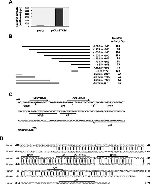 STAT4 Expression in Human T Cells Is Regulated by DNA Methylation but ...
