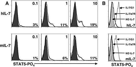 Murine and Human IL-7 Activate STAT5 and Induce Proliferation of Normal ...