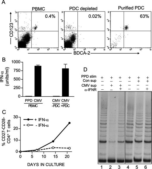 Cytomegalovirus Specific Cd4 T Cells In Healthy Carriers Are