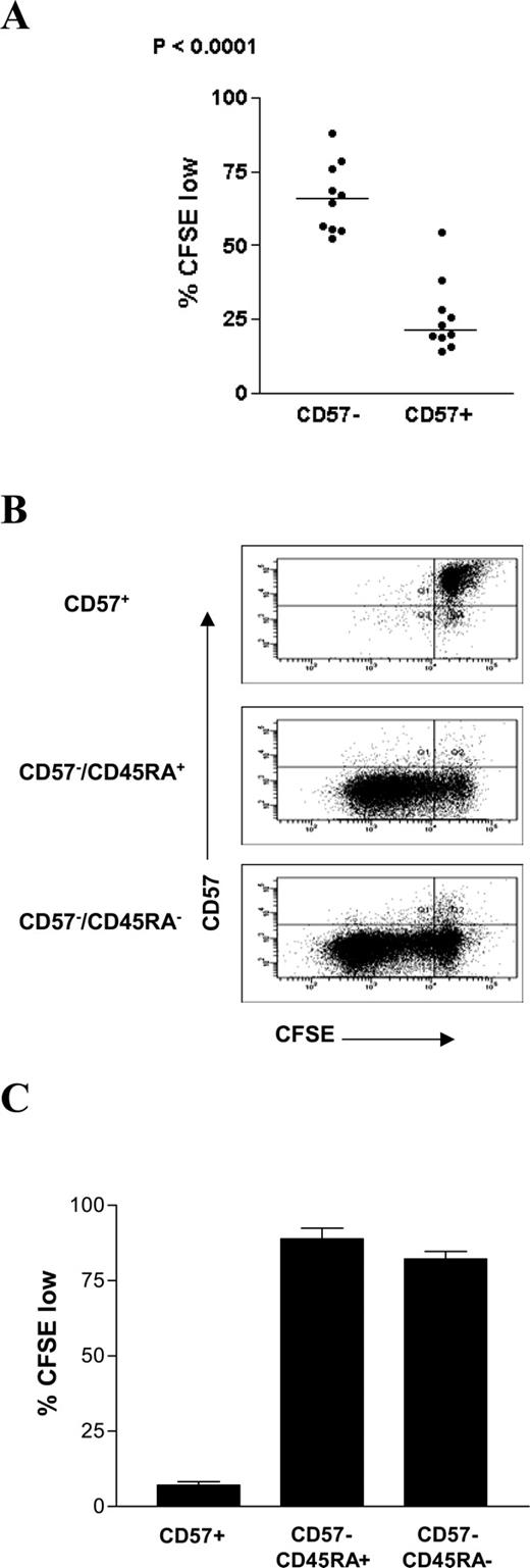 Functional and Phenotypic Characterization of CD57+CD4+ T Cells and ...